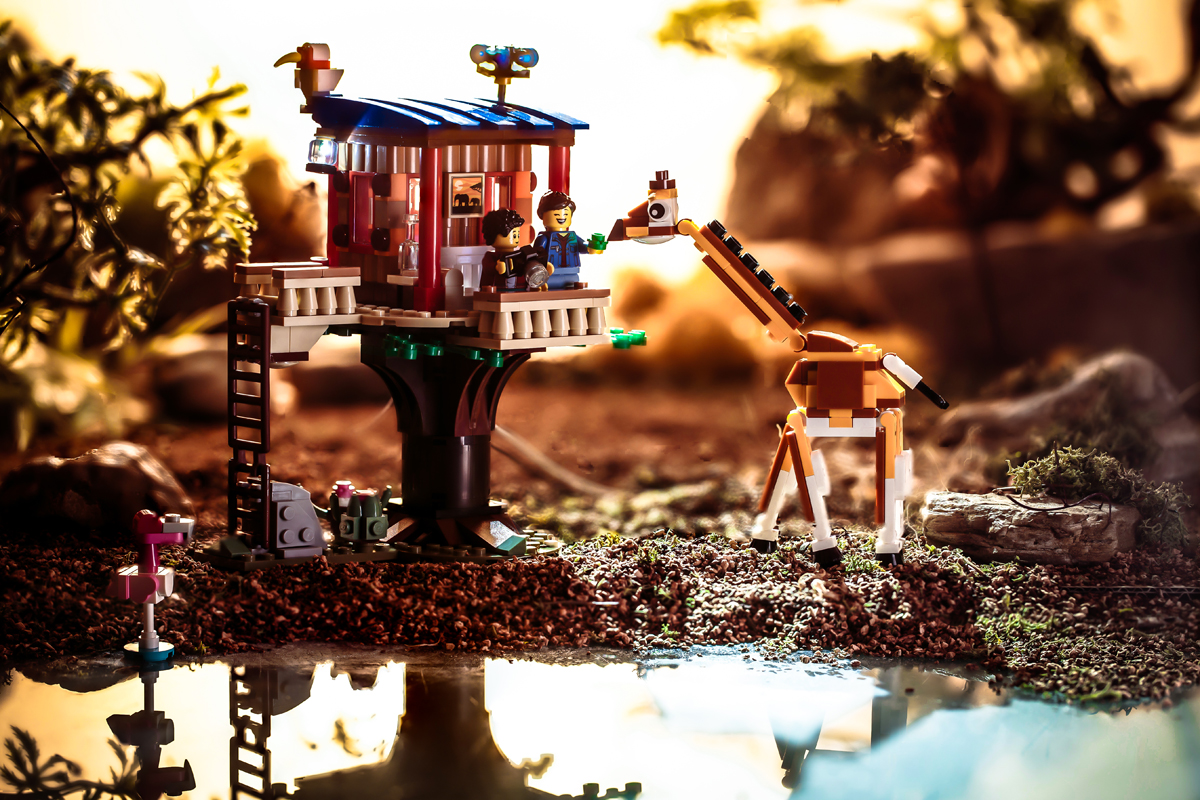 REVIEW: LEGO 31116 CREATOR 3-IN-1 SAFARI WILDLIFE TREE HOUSE - BrickCentral